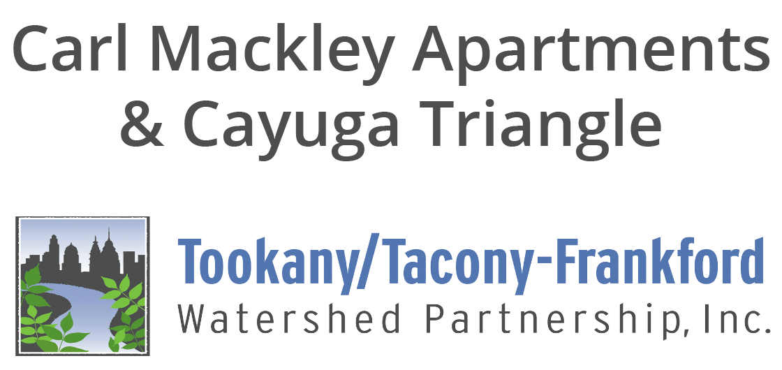 Community – Soak It Up Adoption