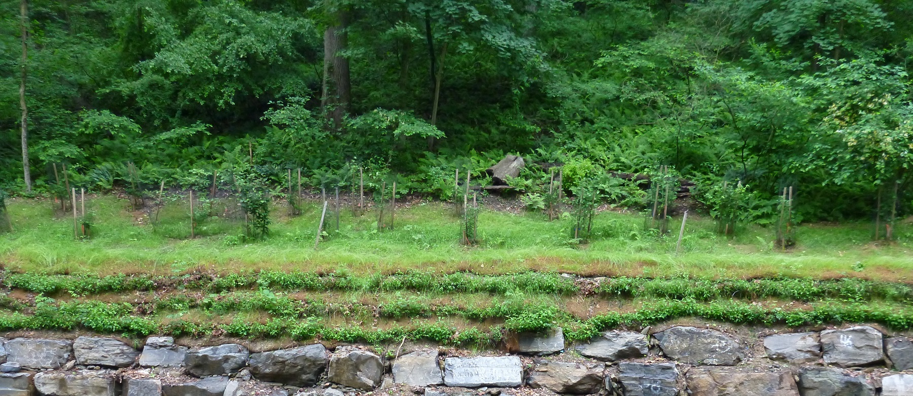 Ecological Restoration Tools – Philadelphia Water Department