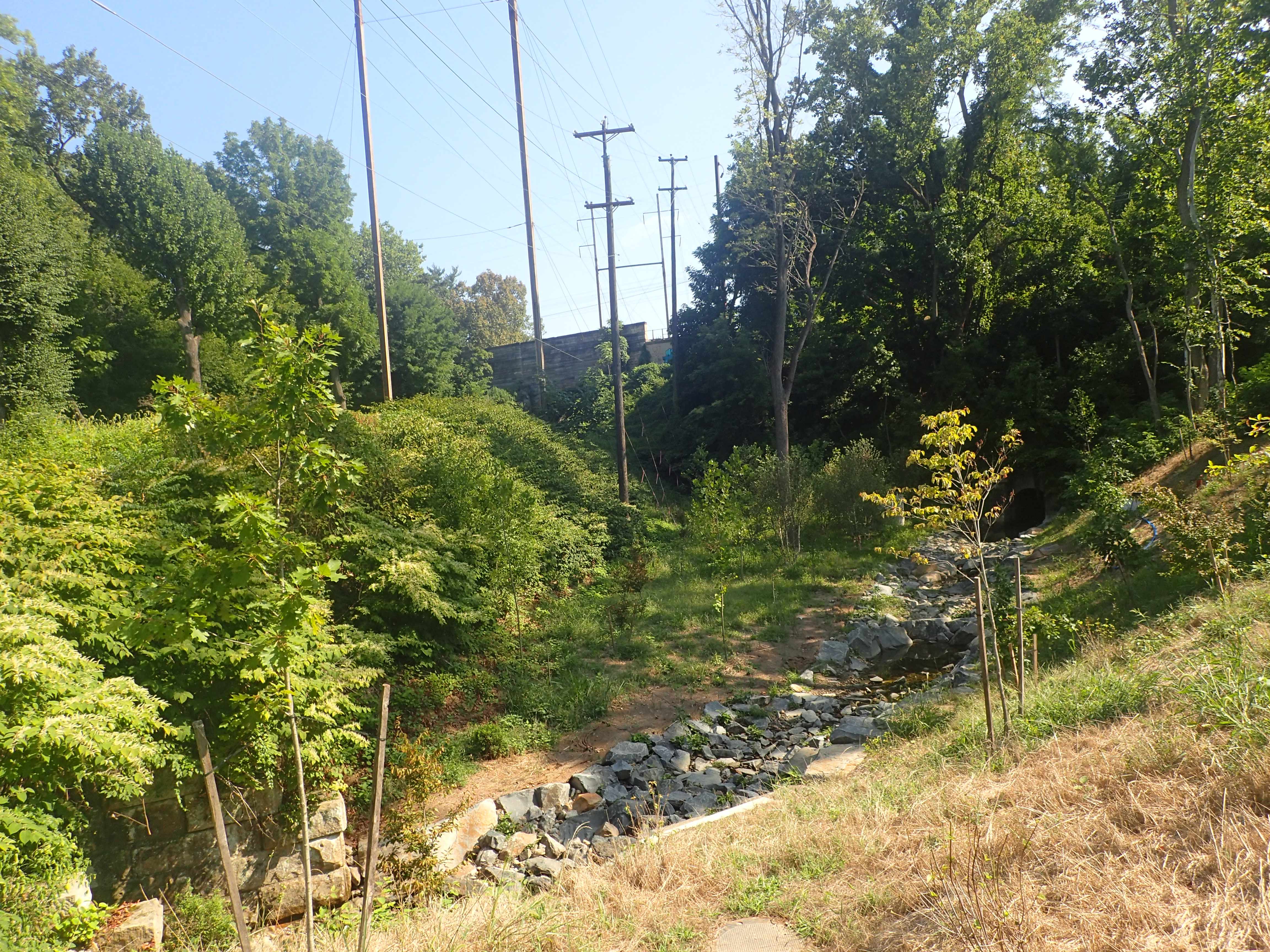 Ecological Restoration – Philadelphia Water Department