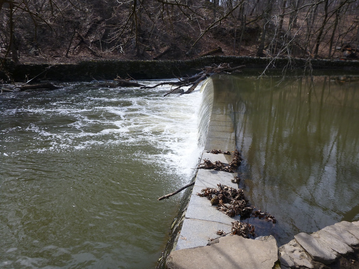 Ecological Restoration Tools – Philadelphia Water Department