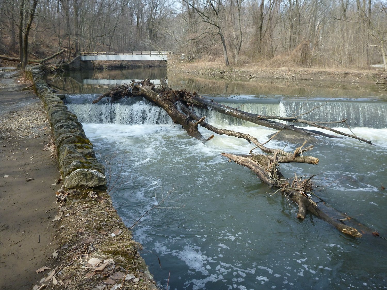 Ecological Restoration Tools – Philadelphia Water Department