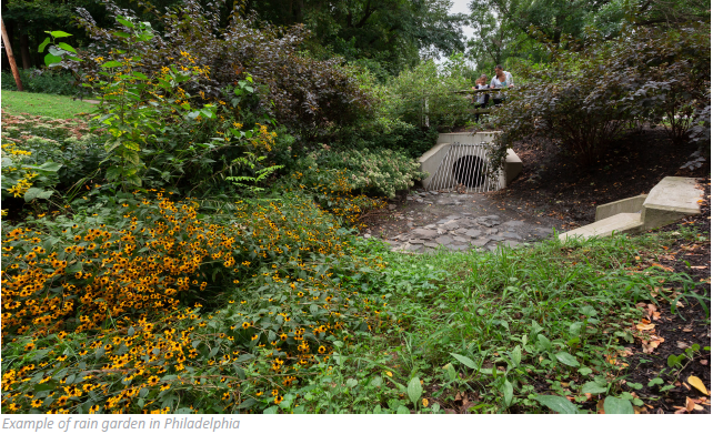 Rain Gardens – Green Tools –Projects & Construction