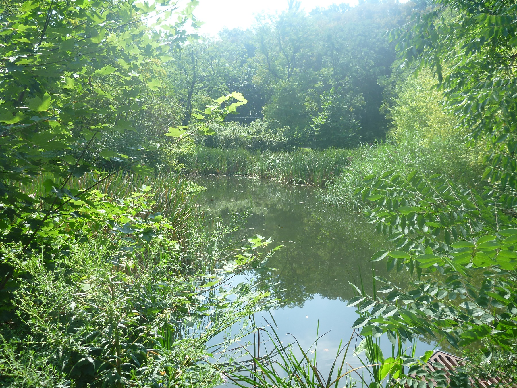 Ecological Restoration Tools – Philadelphia Water Department